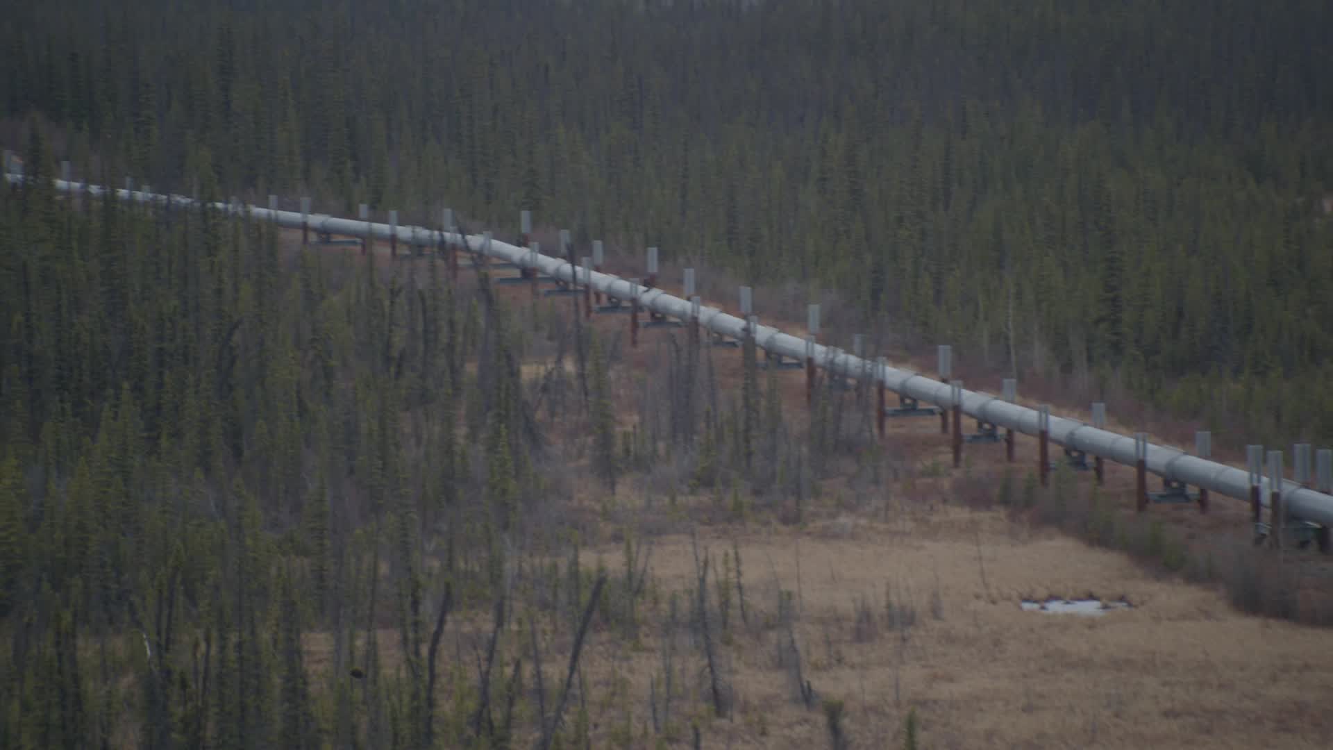 4K stock footage aerial video fly over power lines, trees during winter ...